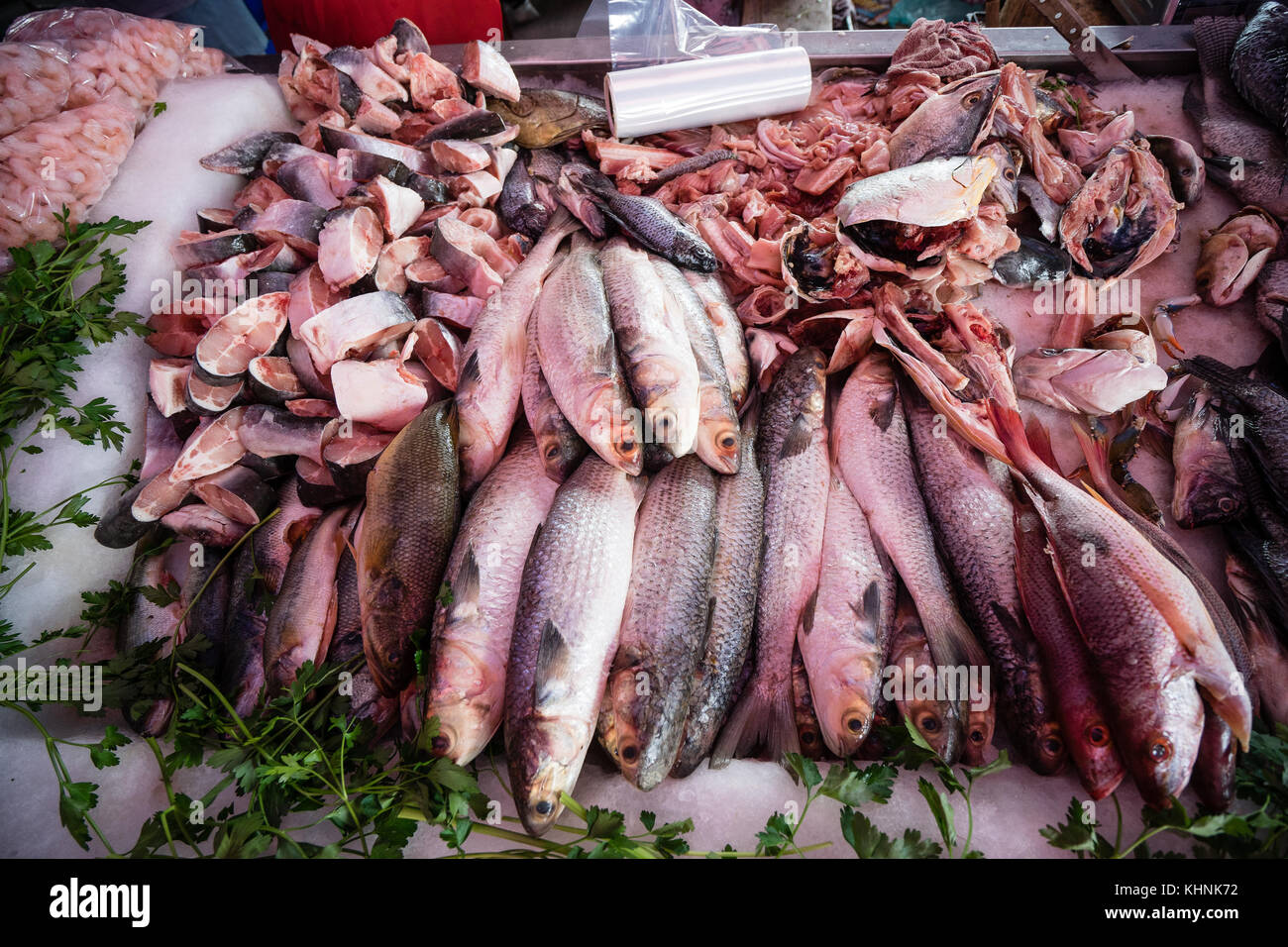 Mexican fish market hi-res stock photography and images - Alamy