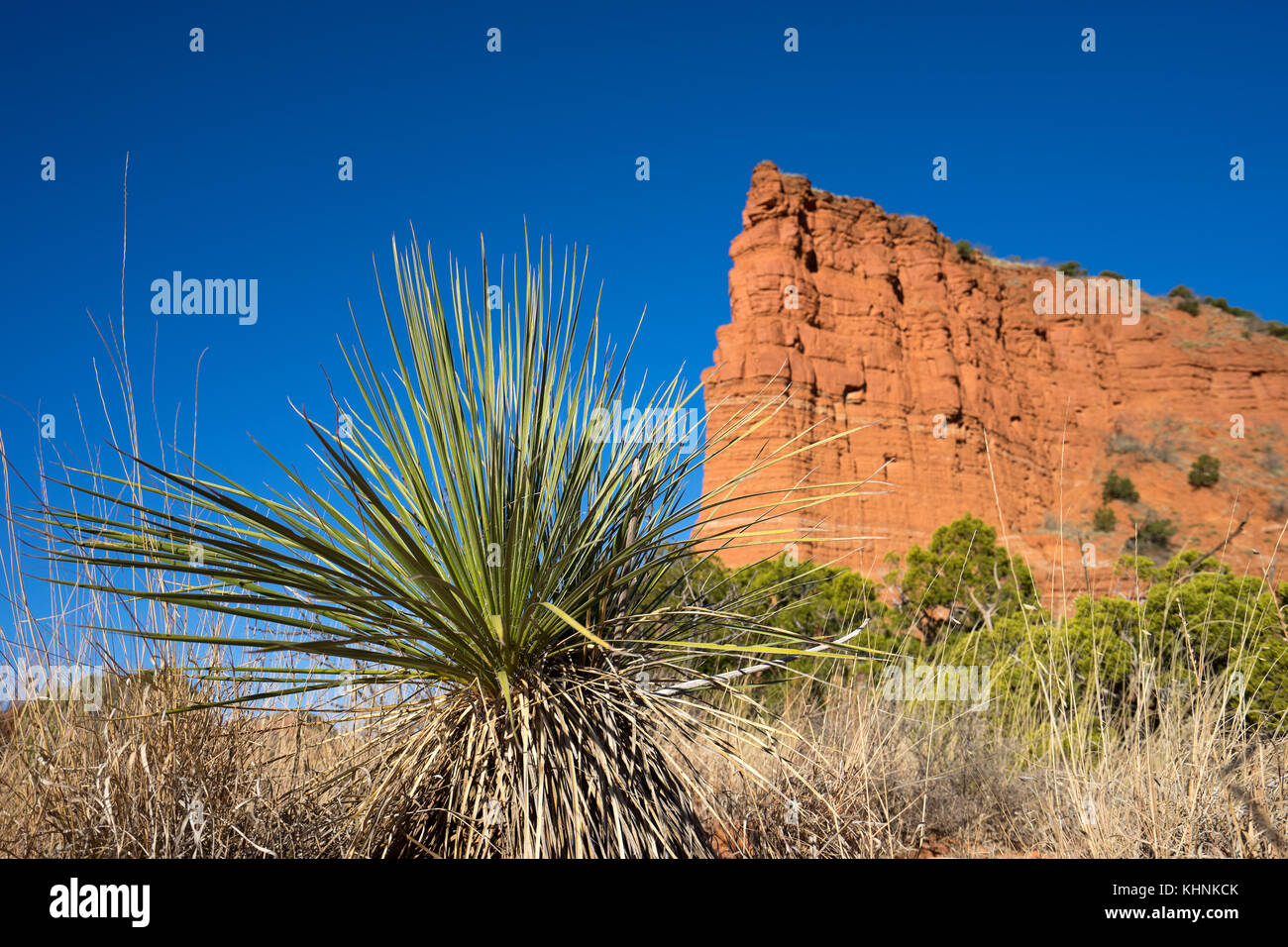 Caprock hi-res stock photography and images - Alamy
