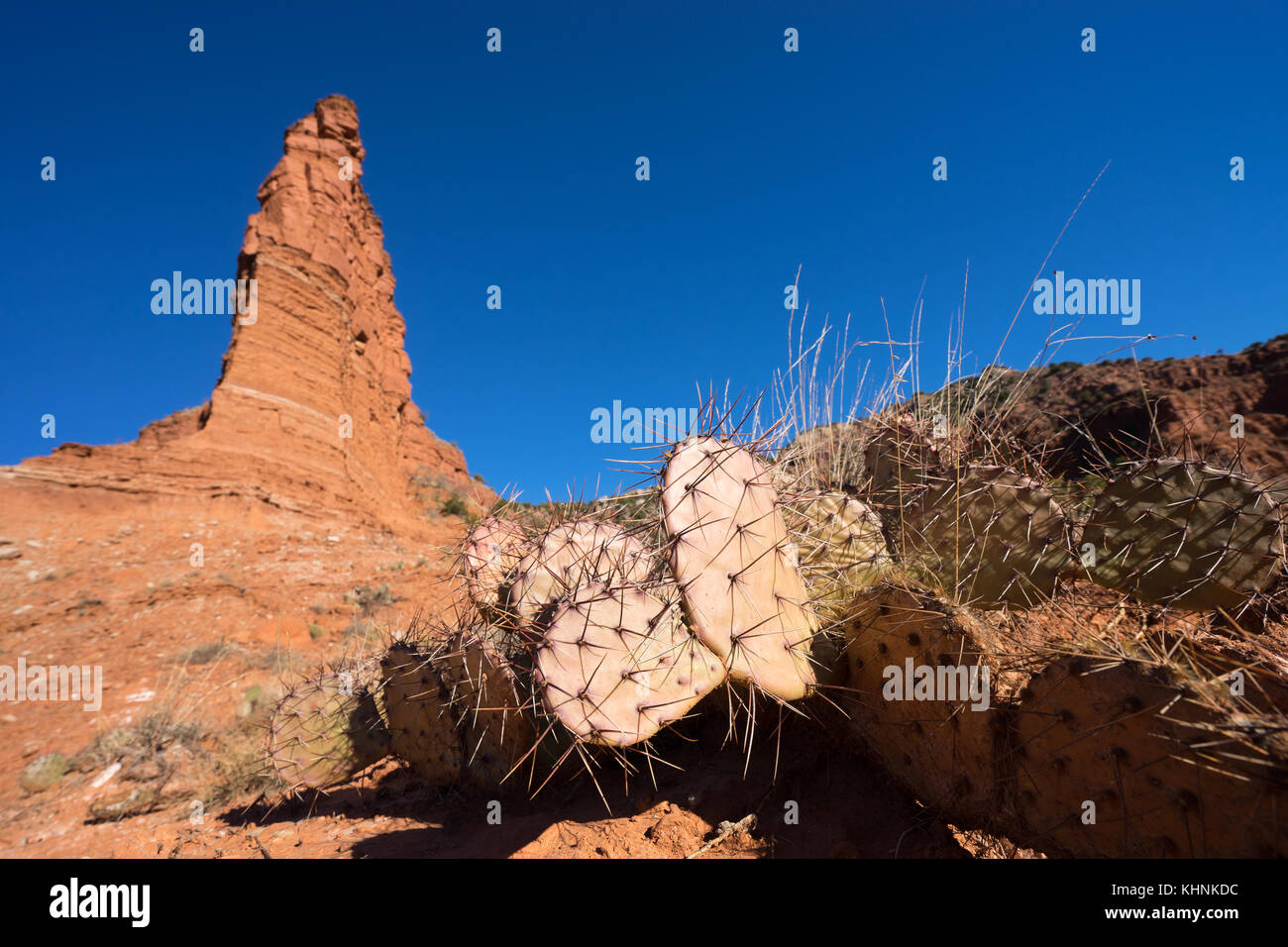 Caprock Canyon in Texas USA Stock Photo - Alamy