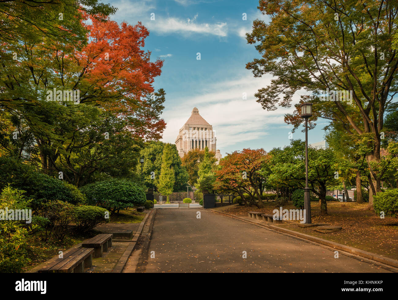 Diet building hi-res stock photography and images - Alamy
