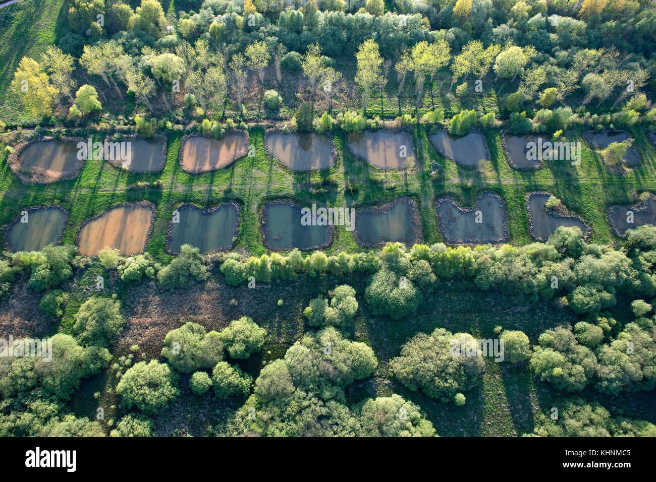 Peat extraction ponds, Demer river valley, Demerbroeken, Belgium Stock ...