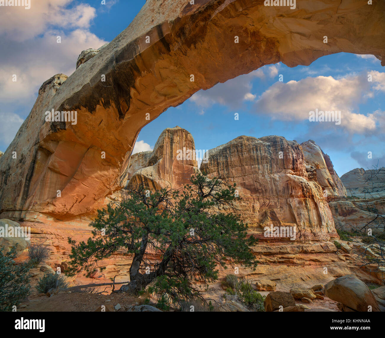 Arch, Hickman Bridge, Capitol Reef National Park, Utah Stock Photo - Alamy