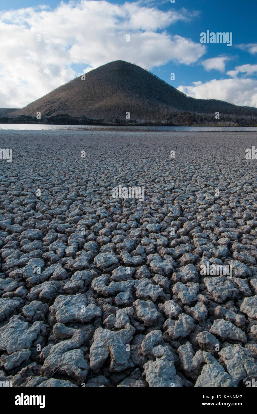Dry lagoon, Floreana Island, Galapagos Islands, Ecuador Stock Photo - Alamy