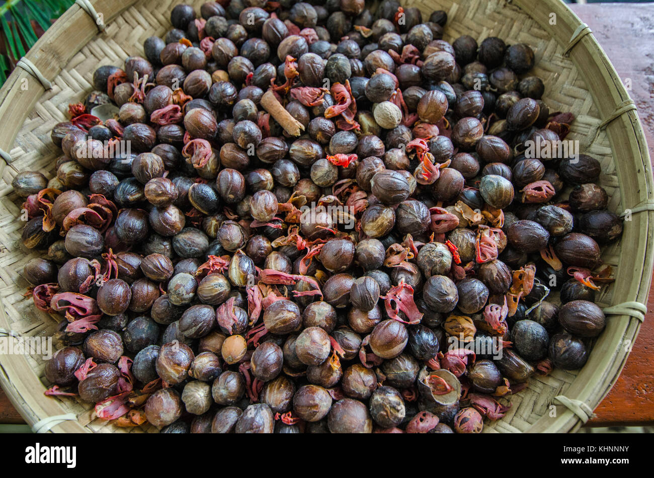 Nutmeg (Myristica fragrans) nuts and mace spice, Banda Islands, Banda ...