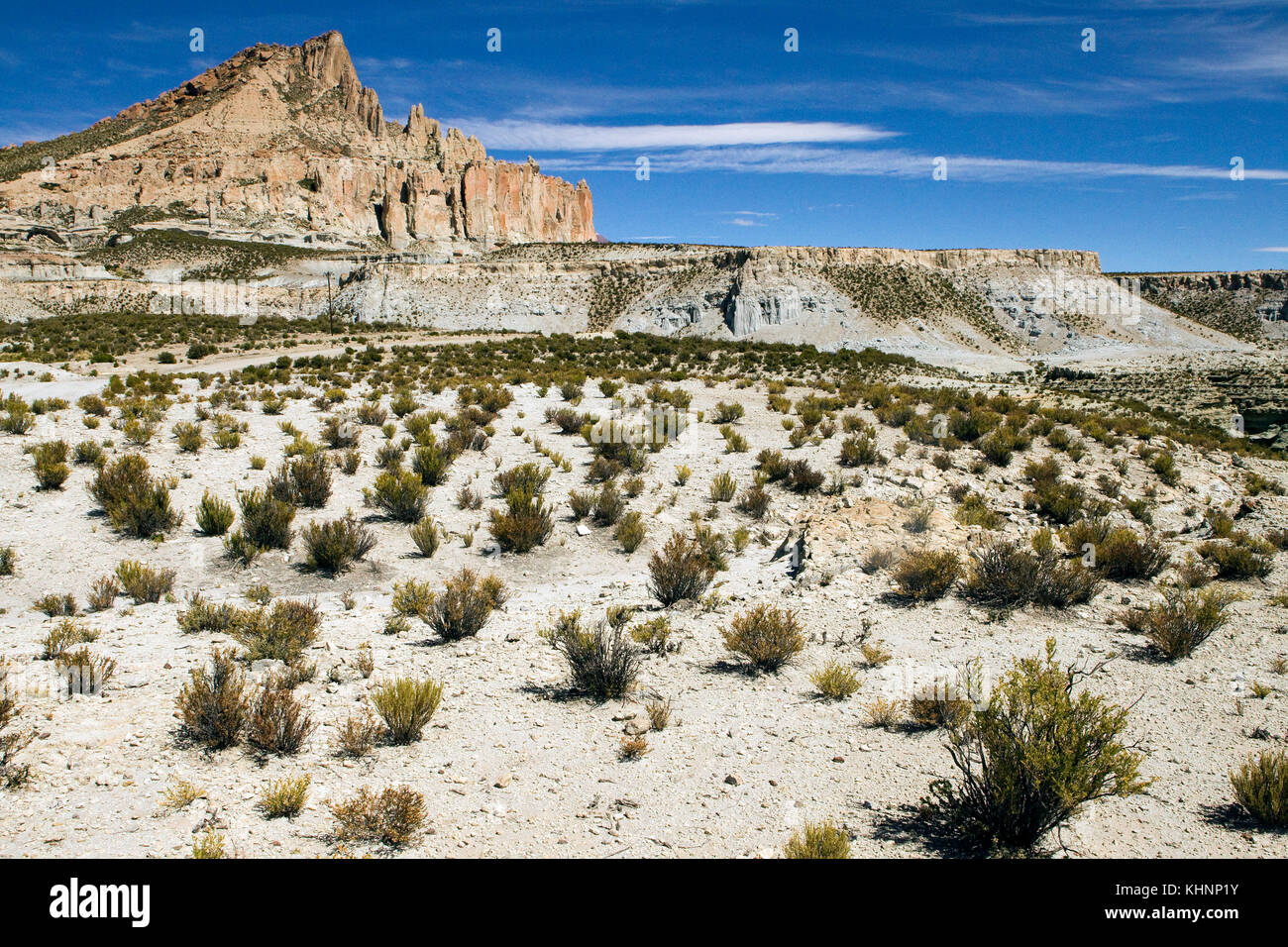 Dry puna, Abra Granada, Andes, northwestern Argentina Stock Photo - Alamy