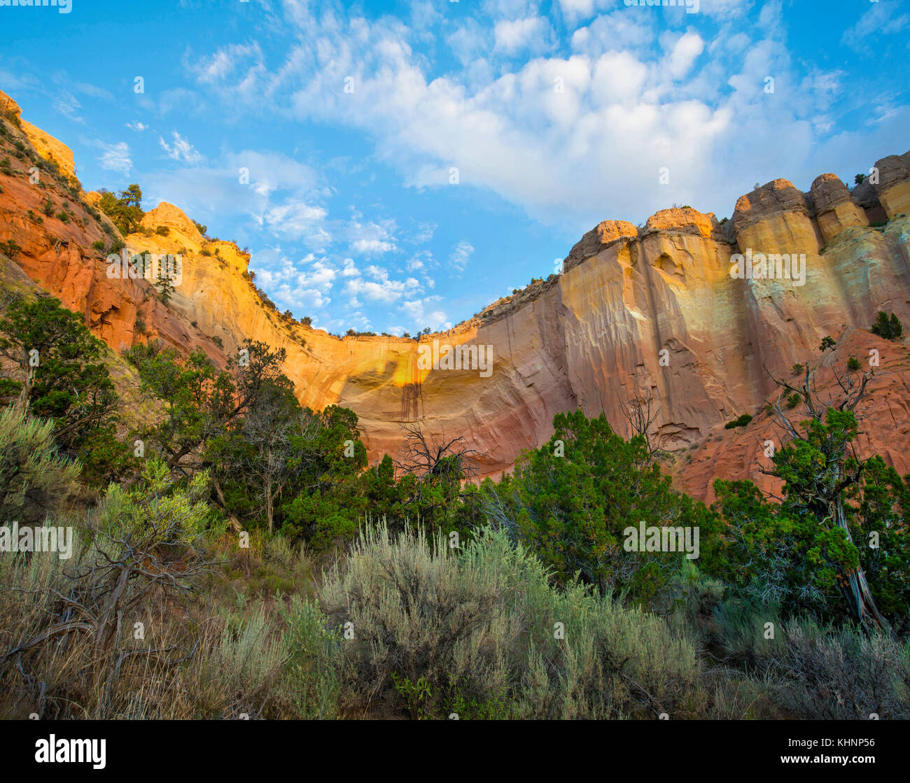 Sandstone cliffs, Echo Amphitheatre, New Mexico Stock Photo - Alamy