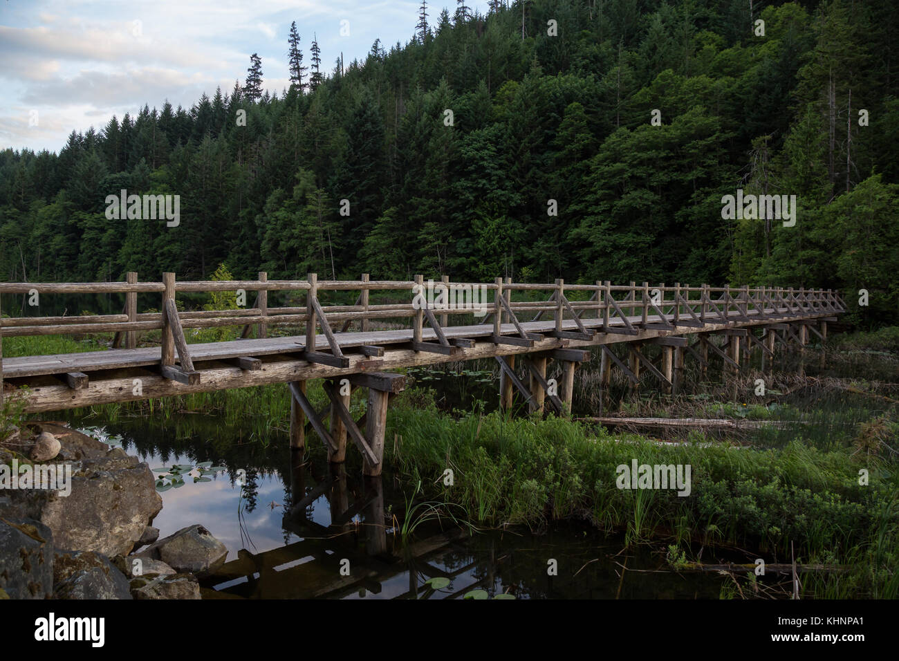 Wooden bridge across swampy water full of leafs and grass. Taken in ...