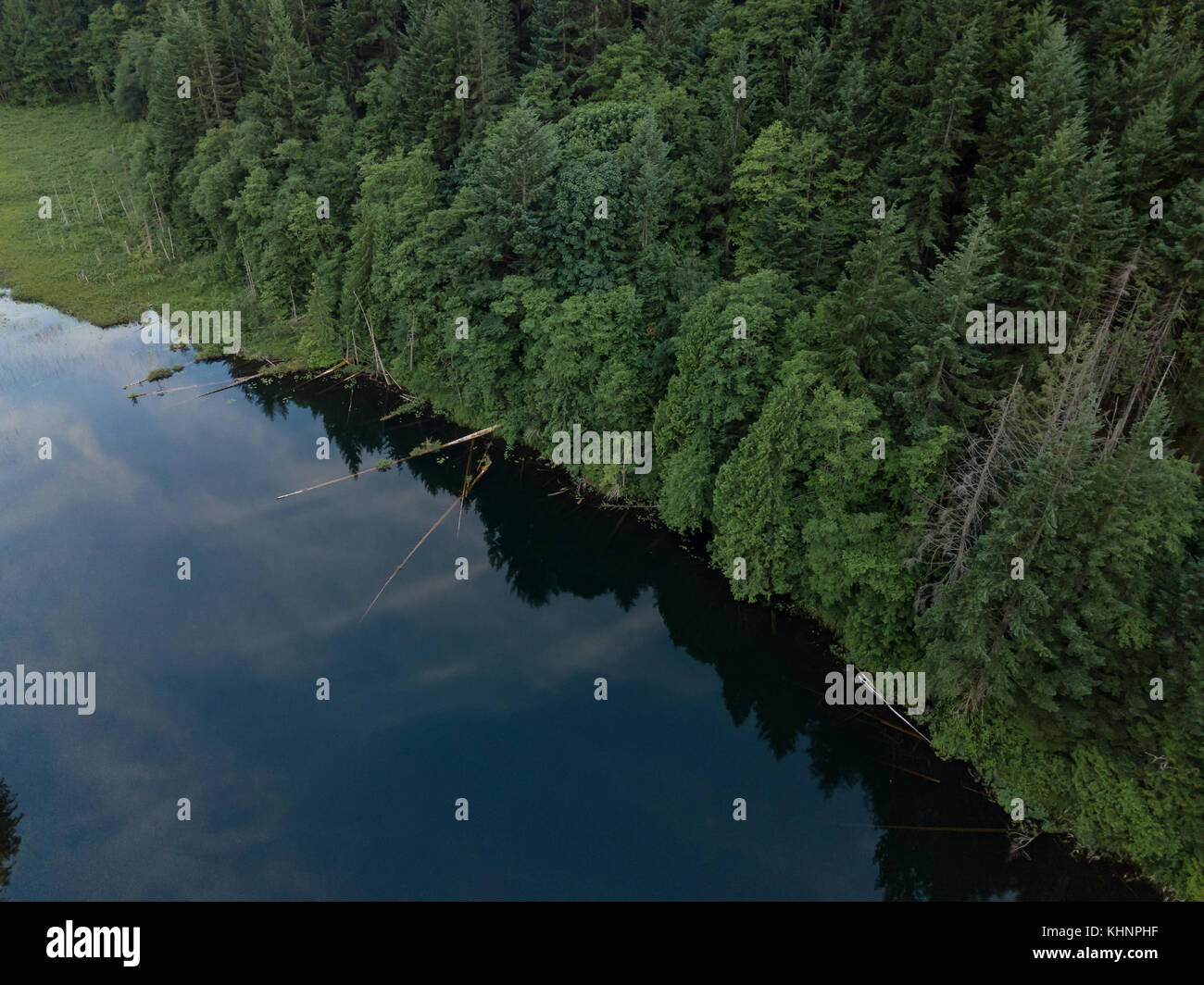 Aerial landscape view of a lake by the forest with reflection of the ...