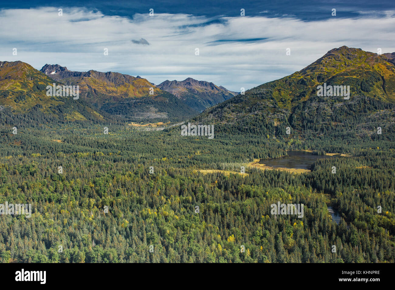 Taiga and Kenai Mountains, Kachemak Bay State Park, Alaska Stock Photo ...
