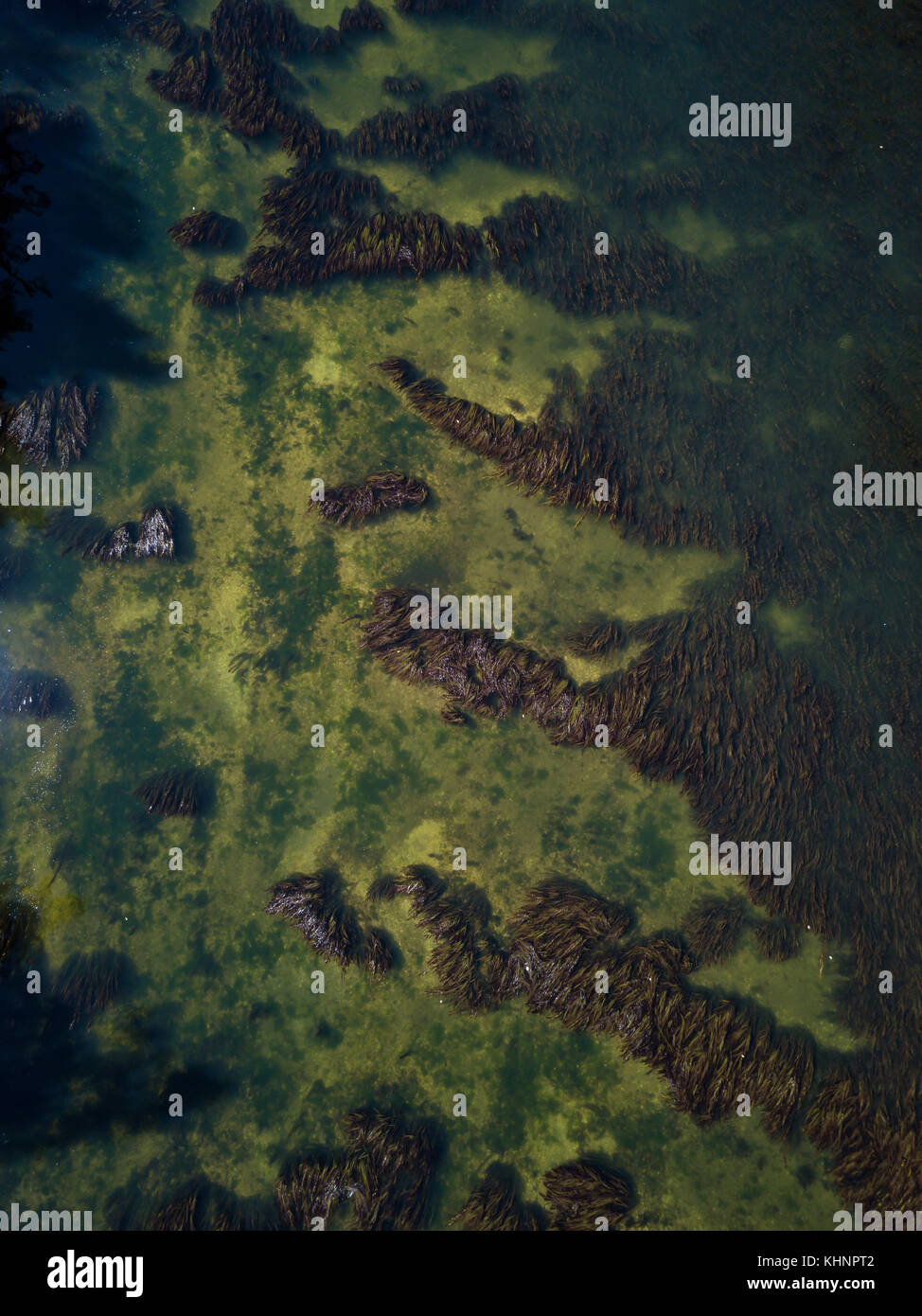 Aerial view from above down on the green river of Gorge Waters. Taken ...