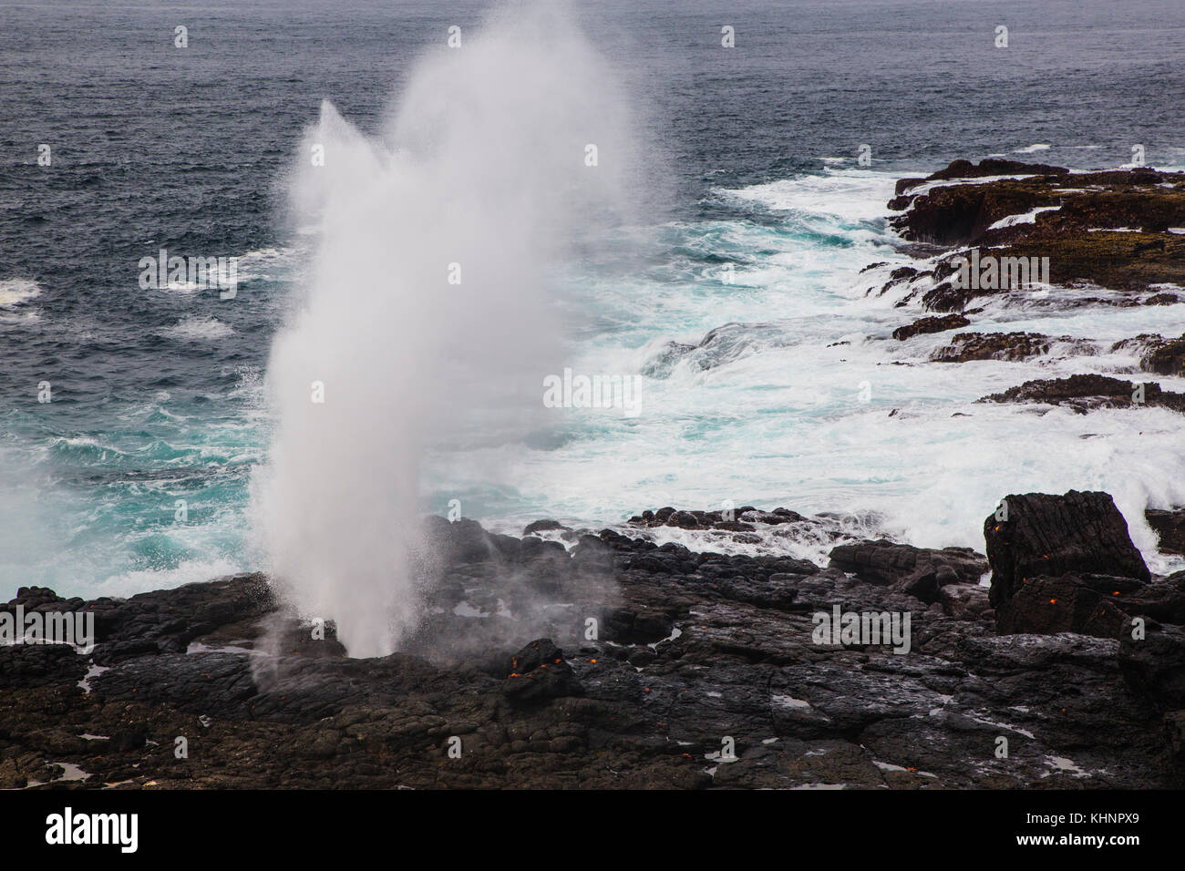Sea spout, Suarez Point, Espanola Island, Galapagos Islands, Ecuador ...