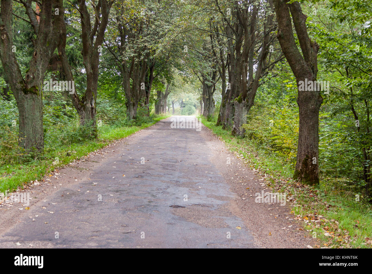 Polish country route Stock Photo - Alamy