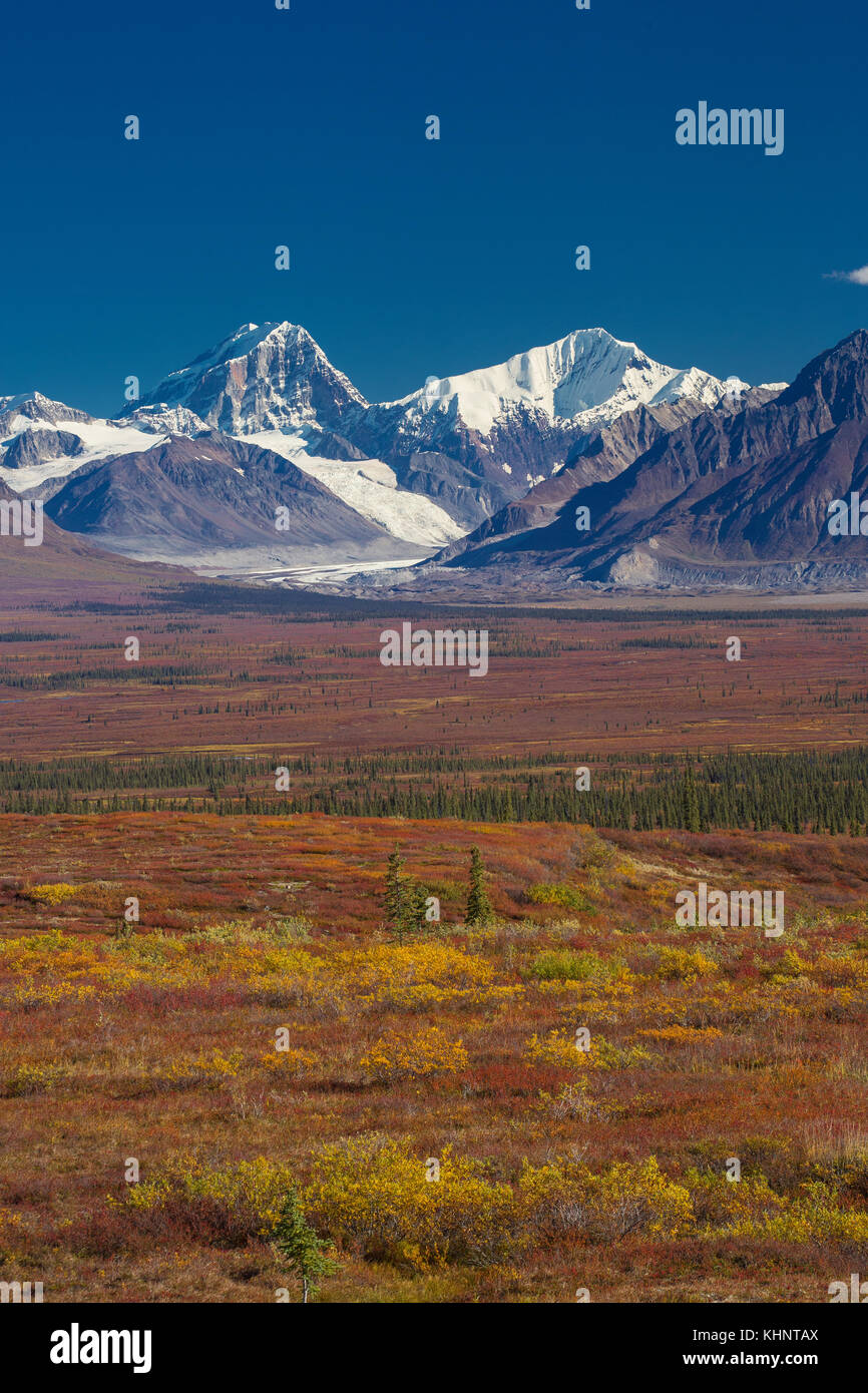 Mount Deborah above tundra in autumn, Alaska Stock Photo - Alamy