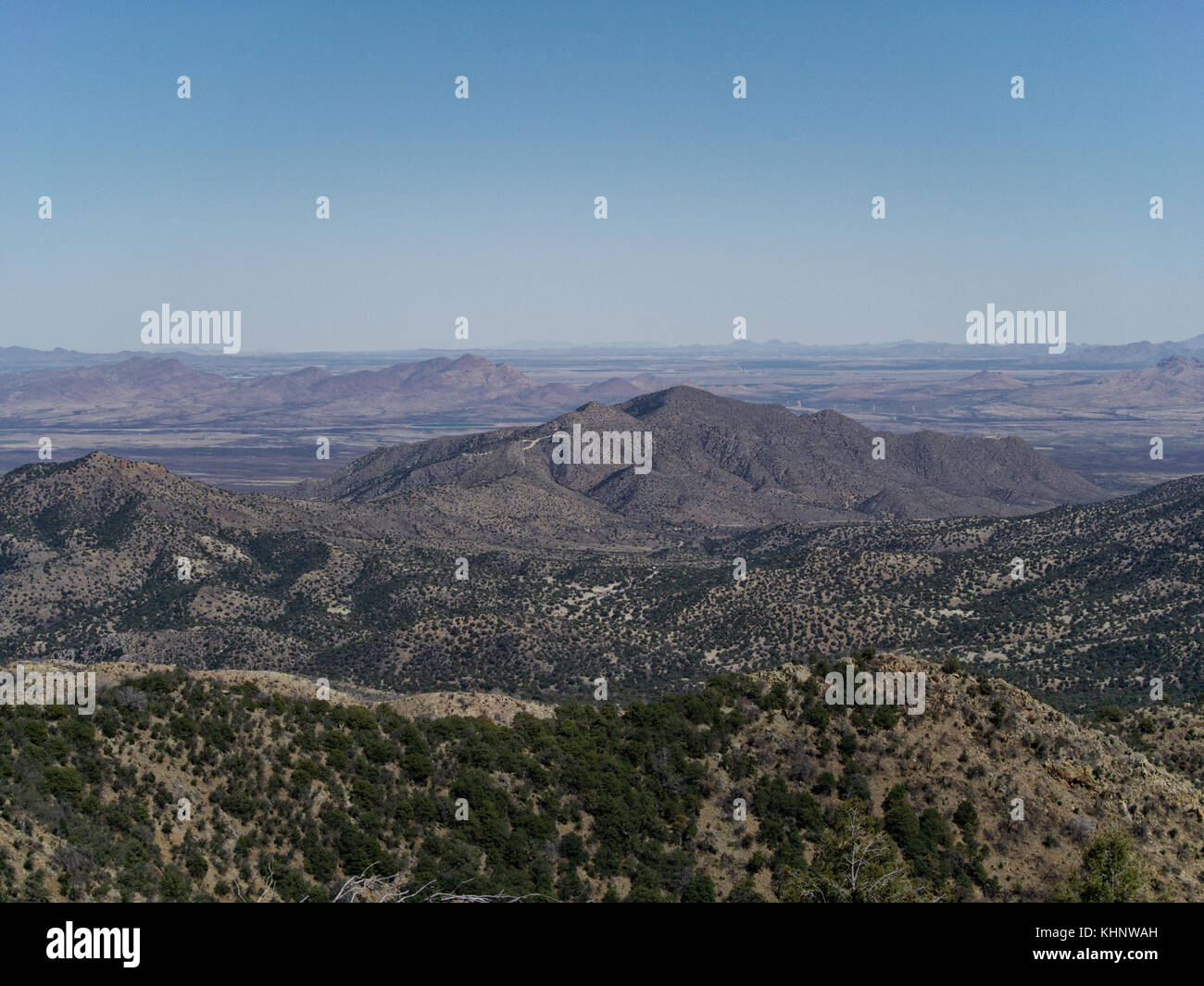 Shrubs on ridges, Chiricahua Mountains, Coronado National Forest ...