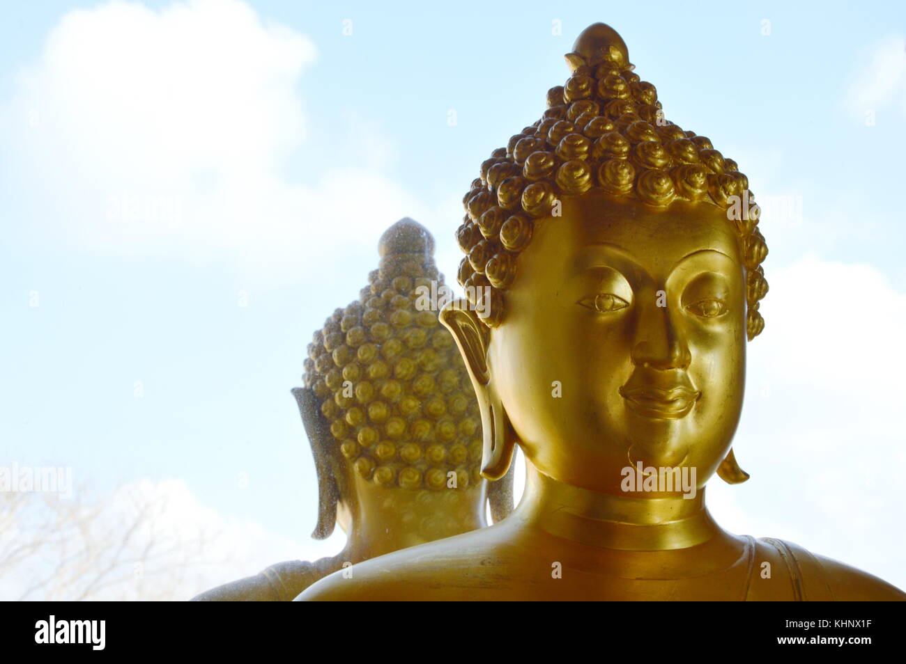 Buddha image and back reflection Stock Photo - Alamy