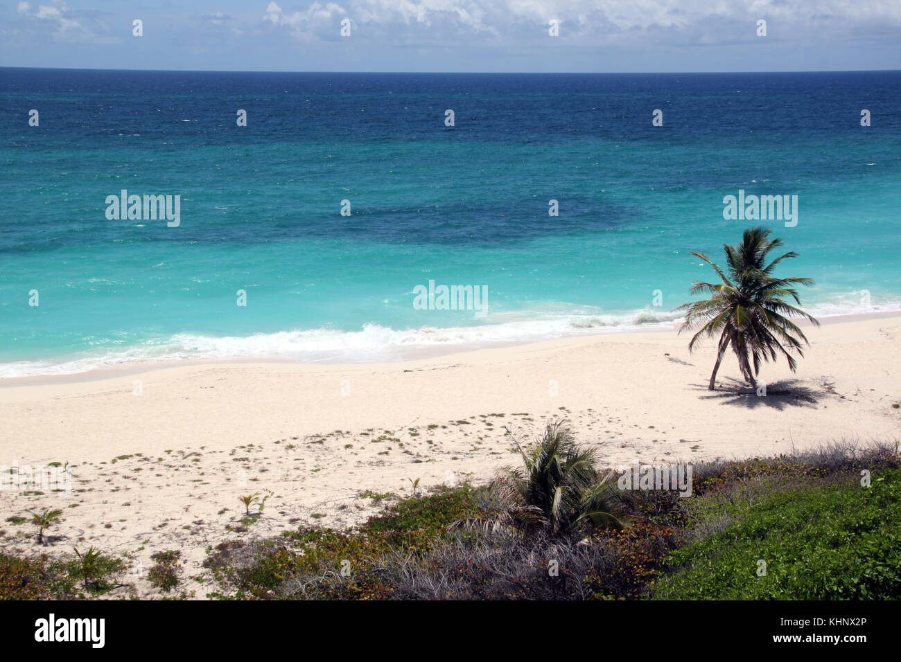 Sea and beach in Barbados island, Caribean Stock Photo - Alamy
