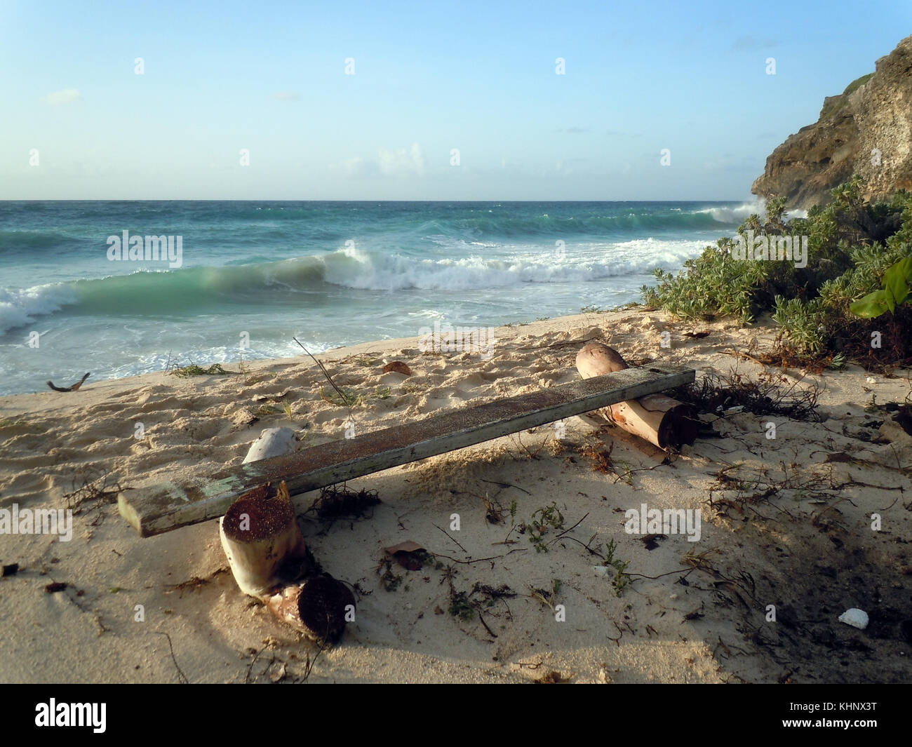 Bench on the sand beach of Atlantic ocean in Barbados Stock Photo - Alamy