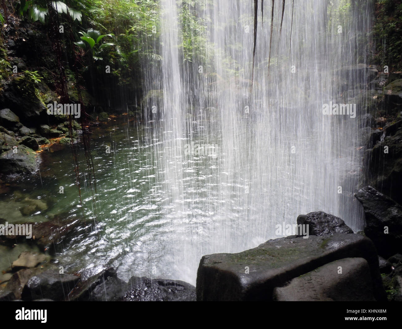Emerald waterfall in the rainforest in Dominica island Stock Photo - Alamy