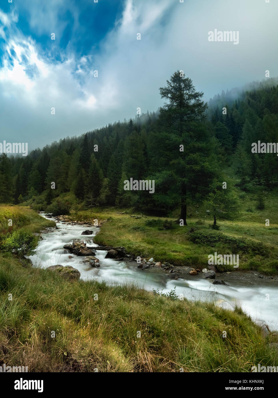 River, mountain stream, forest, grass, europe, dolomites, alps Stock ...