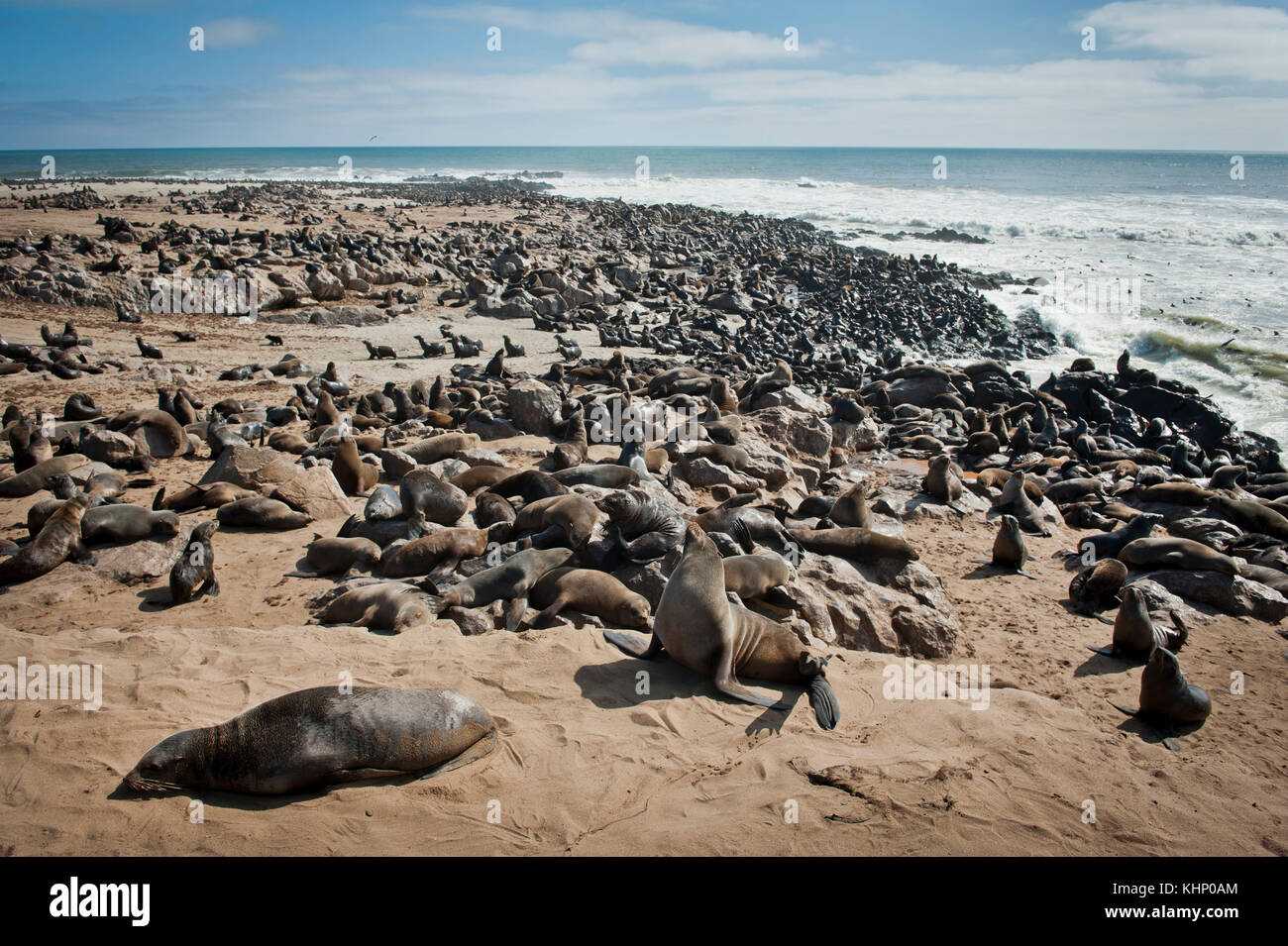 Squelettes hi-res stock photography and images - Alamy