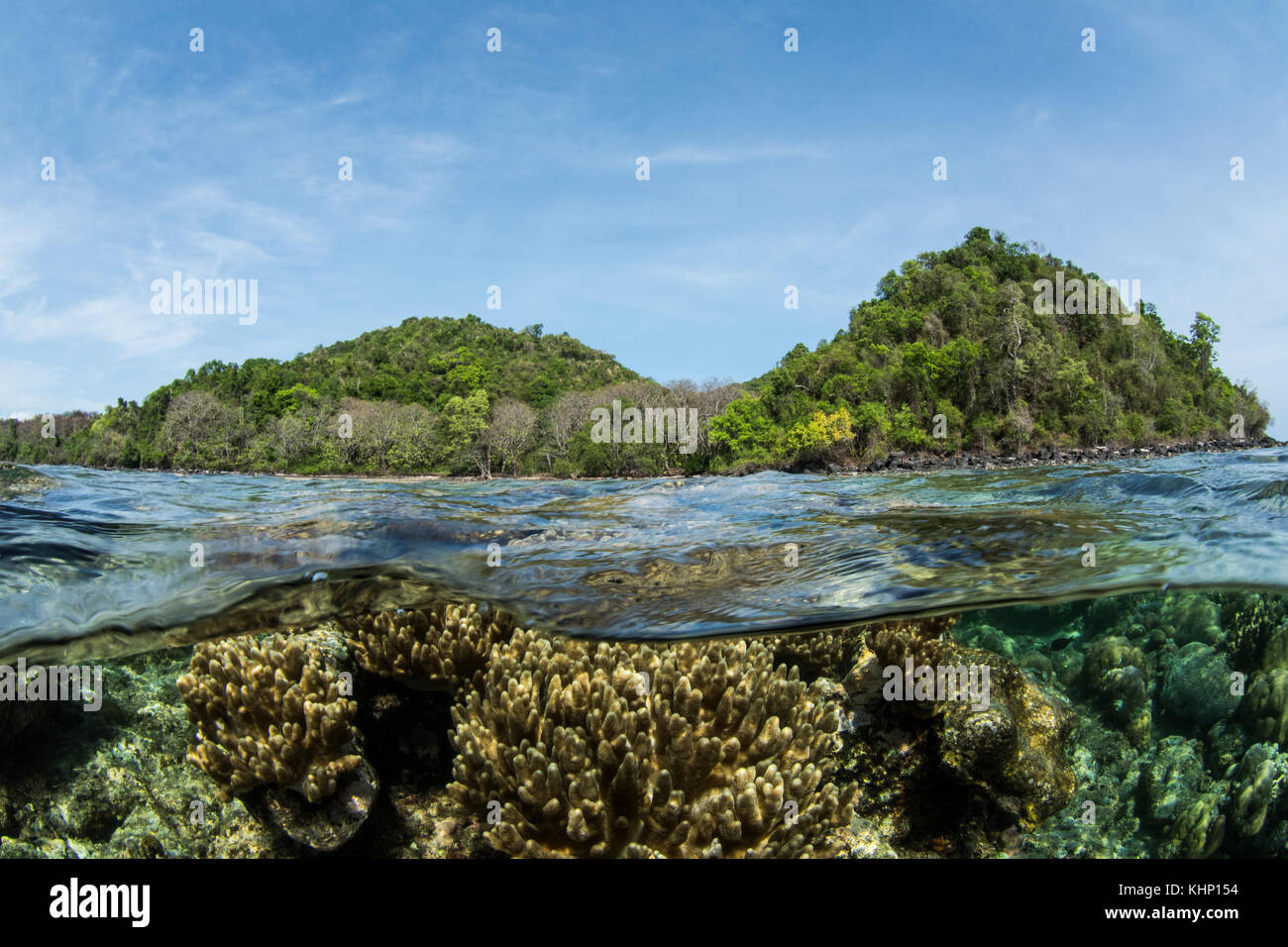 Coral reef and island, Lesser Sunda Islands, Indonesia Stock Photo - Alamy