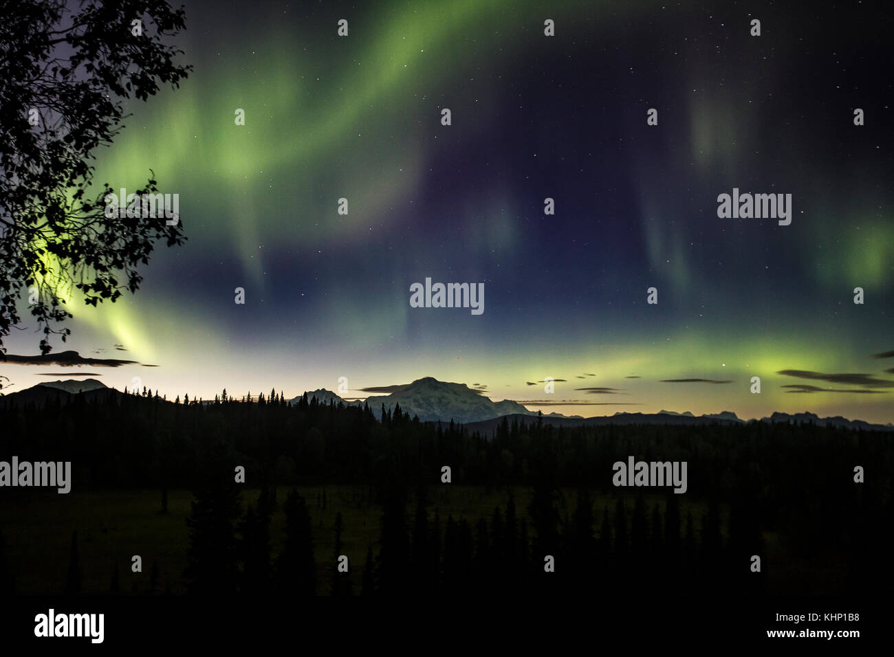 Northern Lights In Denali Alaska at Amber Mairinger blog