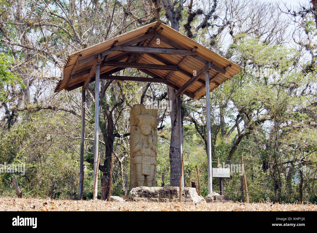 Old mayan stela under roof in Copan, Honduras Stock Photo - Alamy