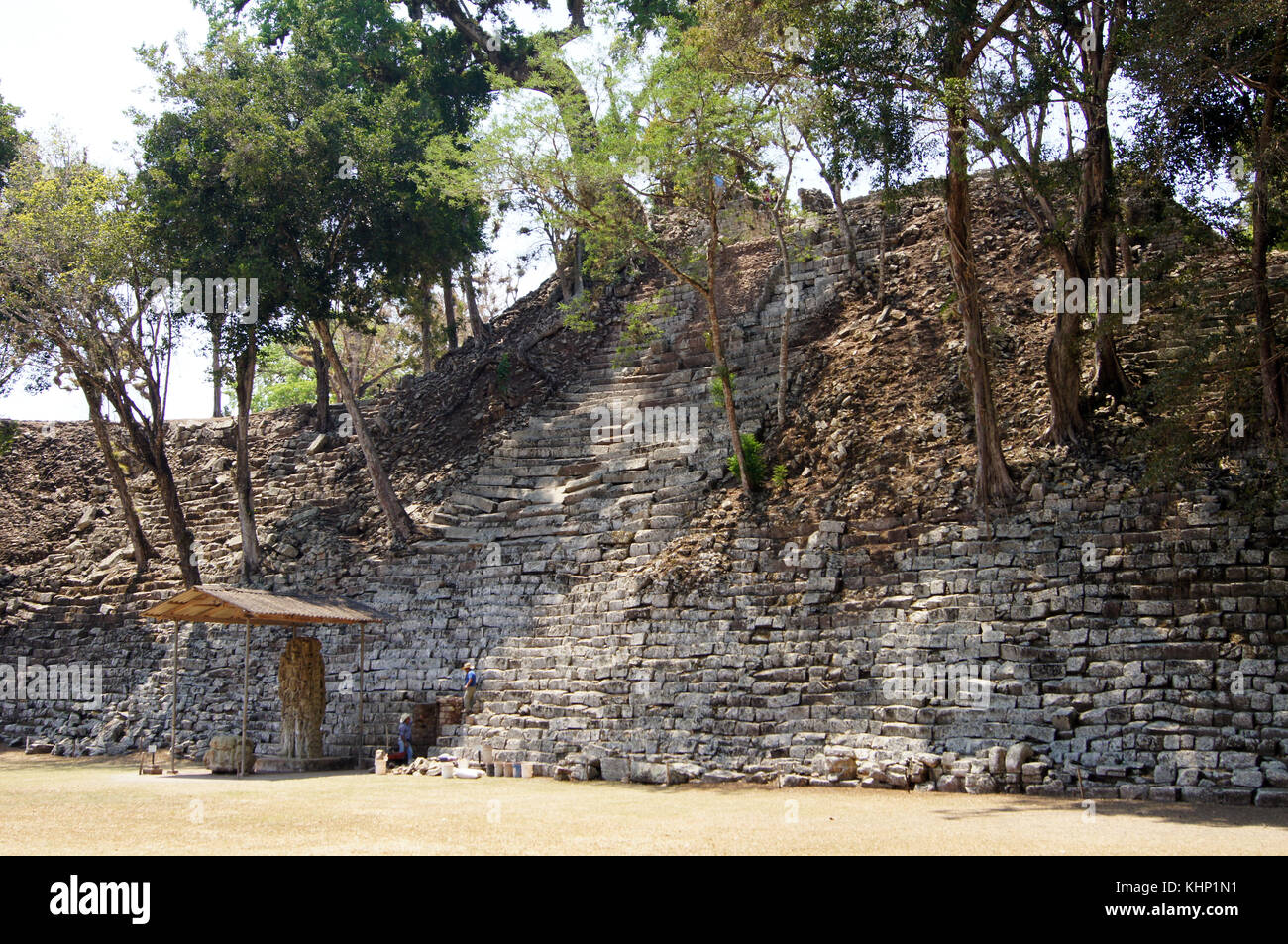 Trees on the old stone pyramid in Copan, Honduras Stock Photo - Alamy