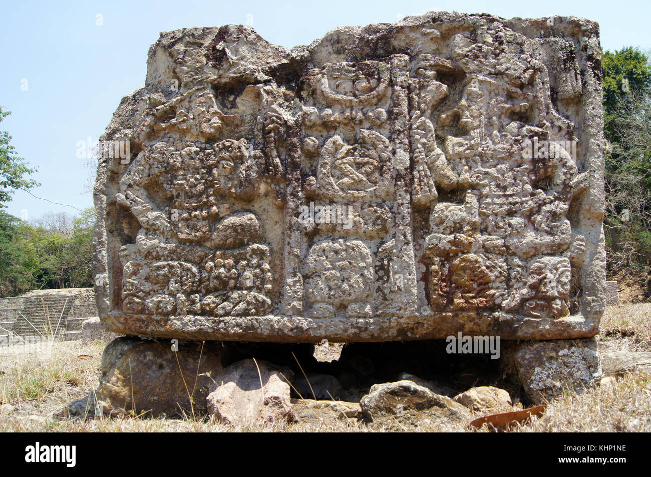 Stone stela with mayan inscriptures in Copan, Honduras Stock Photo - Alamy
