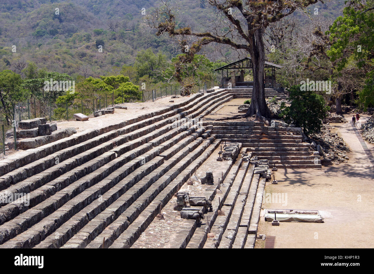 View from the top of pyramid in Copan, Honduras Stock Photo - Alamy