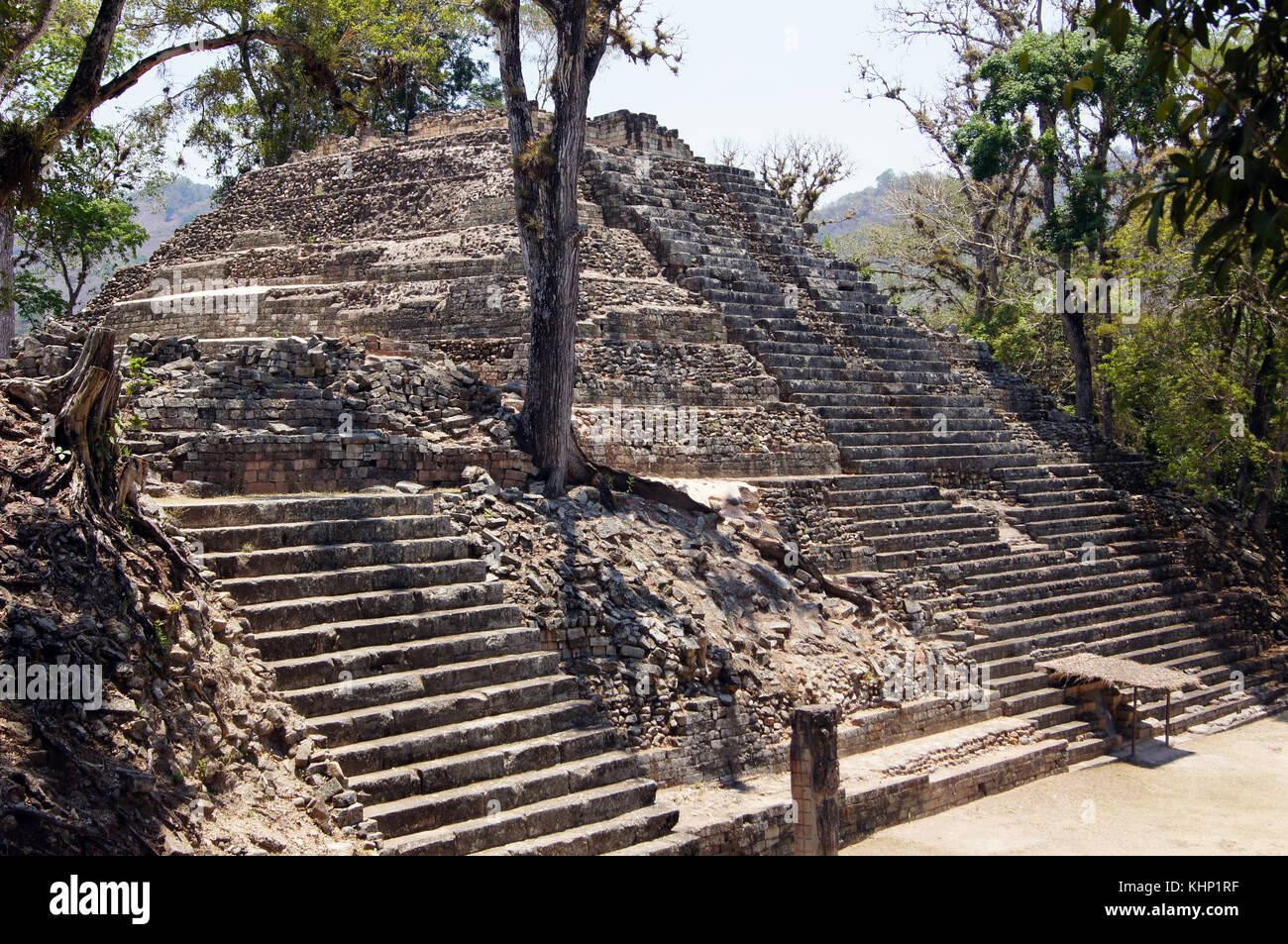 Big stone pyramid and trees in Copan, Honduras Stock Photo - Alamy