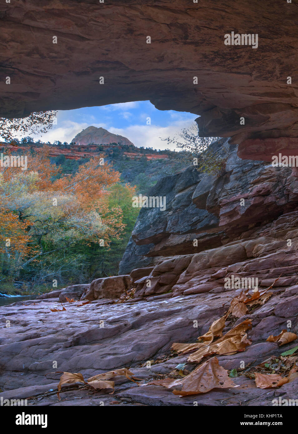 Shallow cave in Oak Creek Canyon, Coconino National Forest, Arizona ...