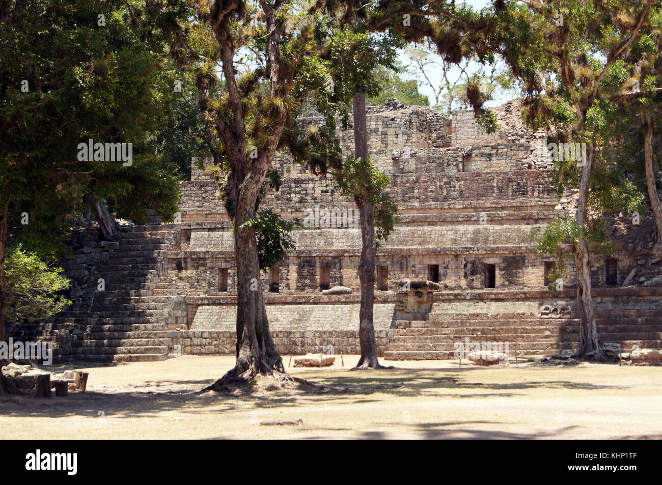 Big trees and pyramid in Copan, Honduras Stock Photo - Alamy
