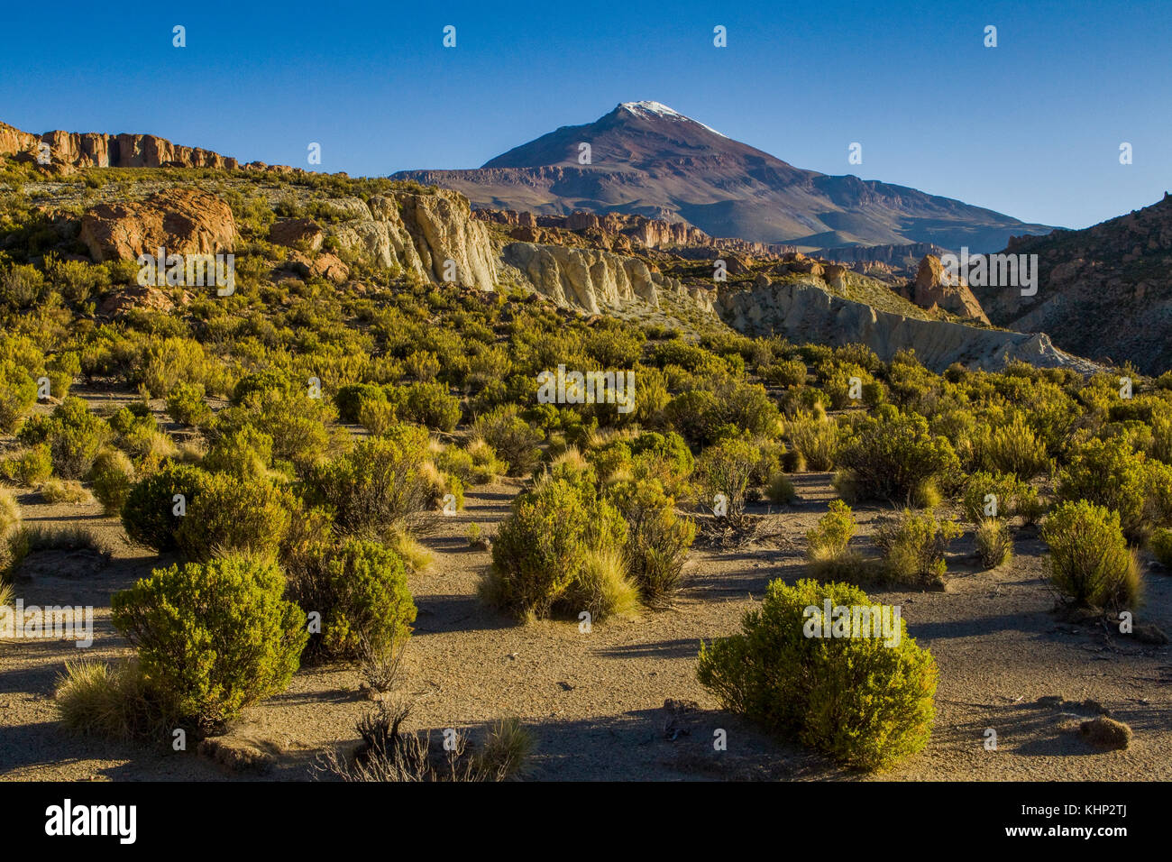 Dry puna, Abra Granada, Andes, northwestern Argentina Stock Photo - Alamy