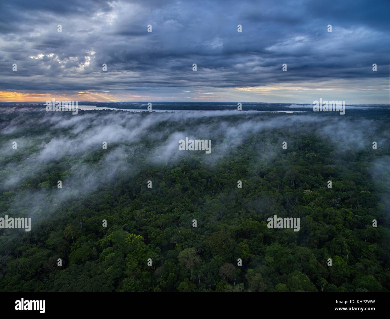 Sunrise over rainforest, Amazon, Yasuni National Park, Ecuador Stock ...