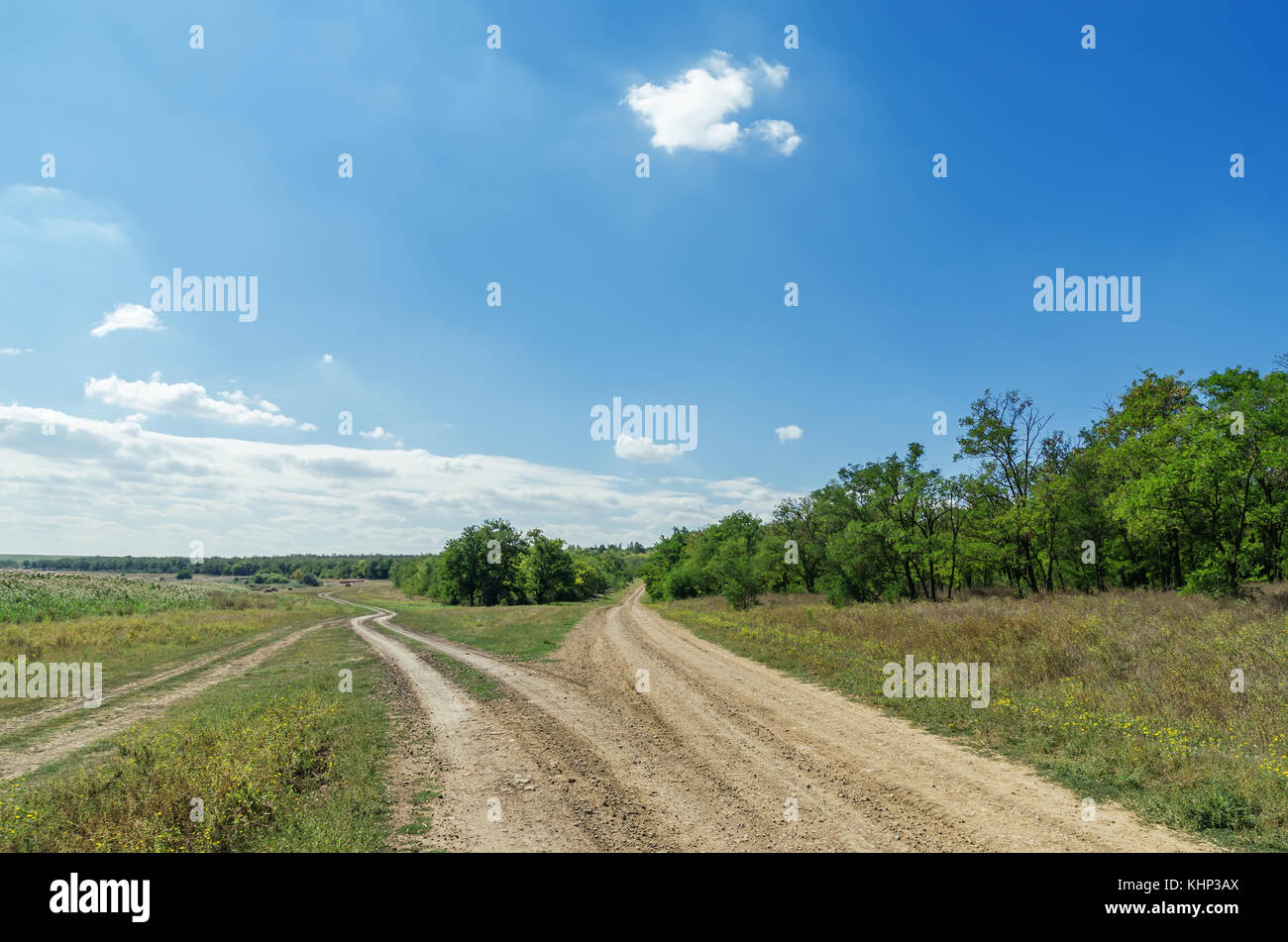 two dirty roads in green landscape Stock Photo - Alamy
