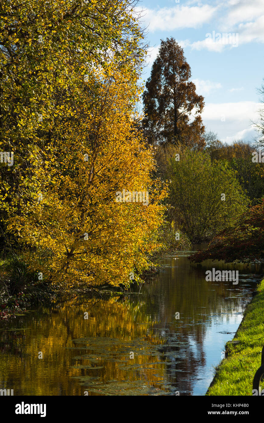Cambridgeshire city hobsons conduit watercourse hi-res stock ...