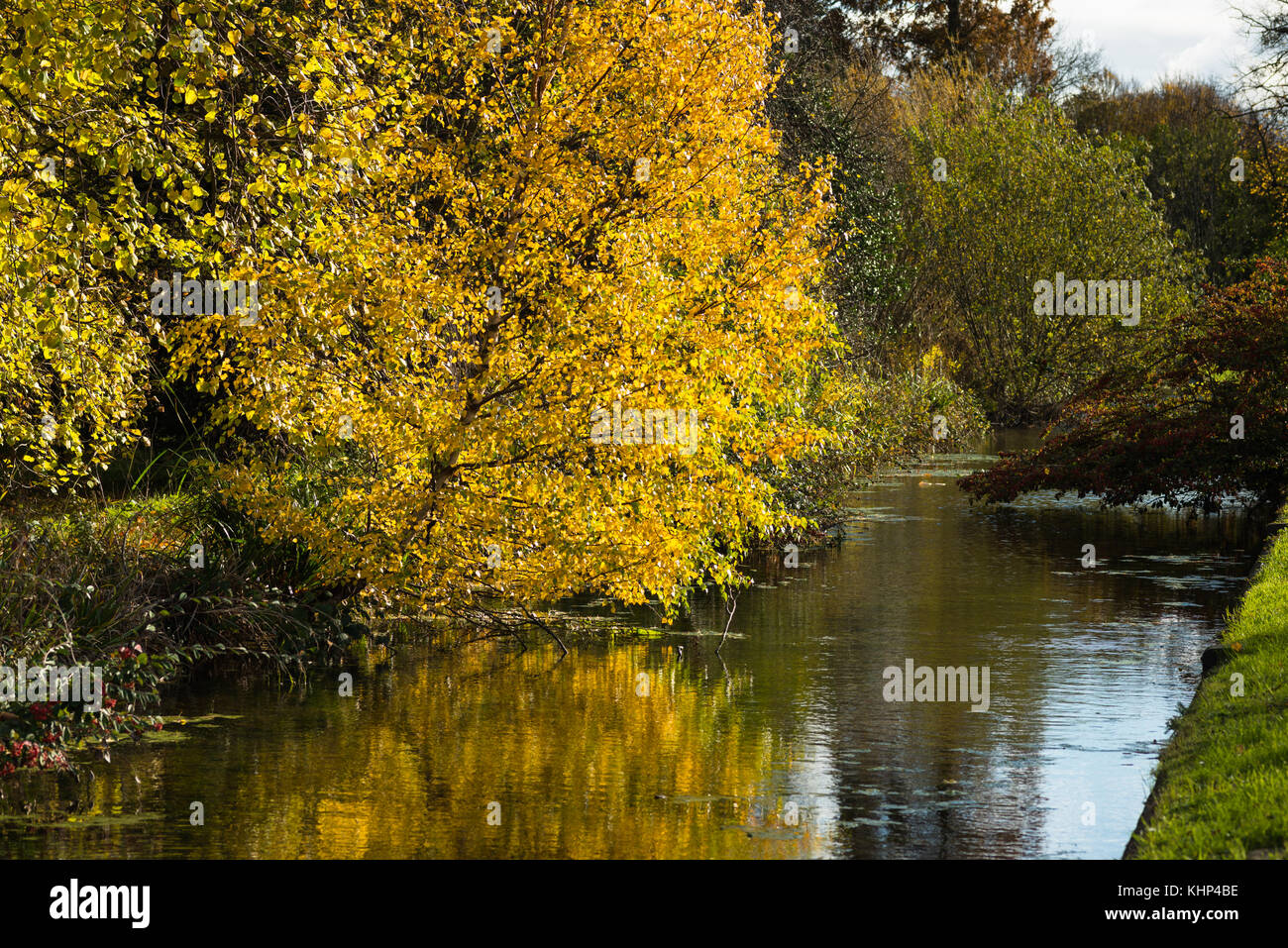 Hobson's Conduit or Vicar's Brook, is a watercourse built from 1610 to ...