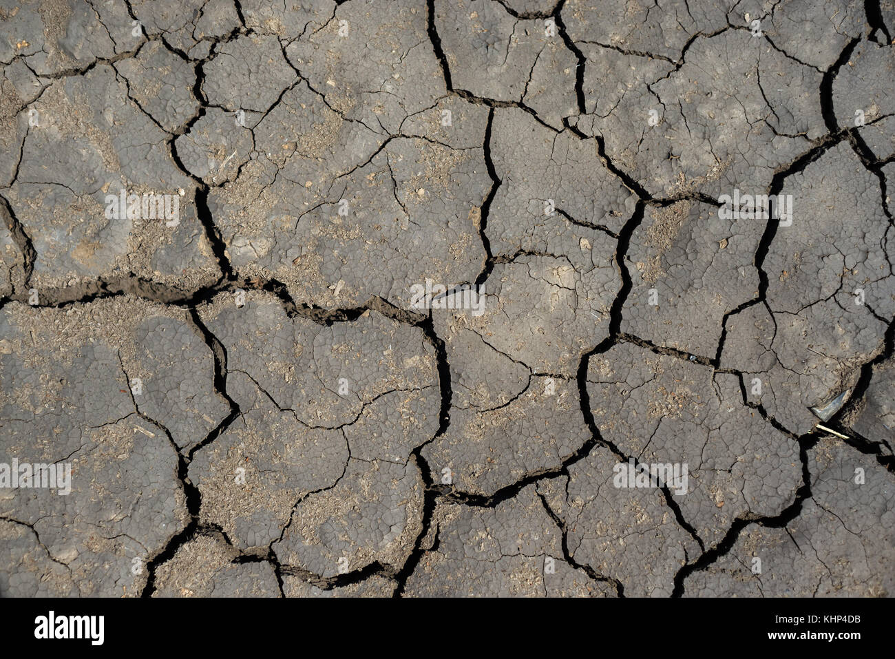 cracked surface of earth as good textured background Stock Photo - Alamy