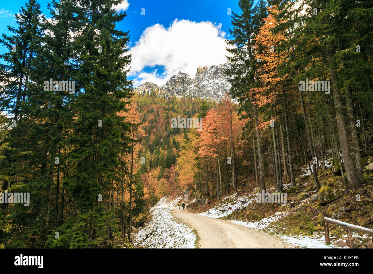 a trekking road in the italian alps douring a colorful autumn Stock ...