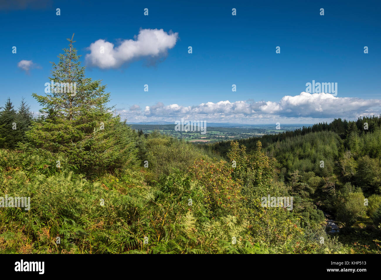 View over the Glen of Aherlow in the Galtee mountains, Tipperary ...