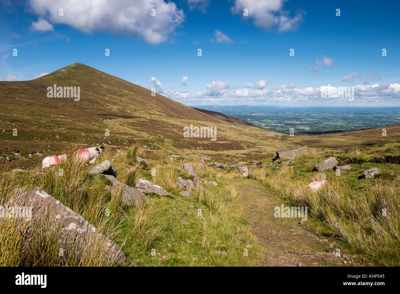 View over the Glen of Aherlow in the Galtee mountains, Tipperary ...