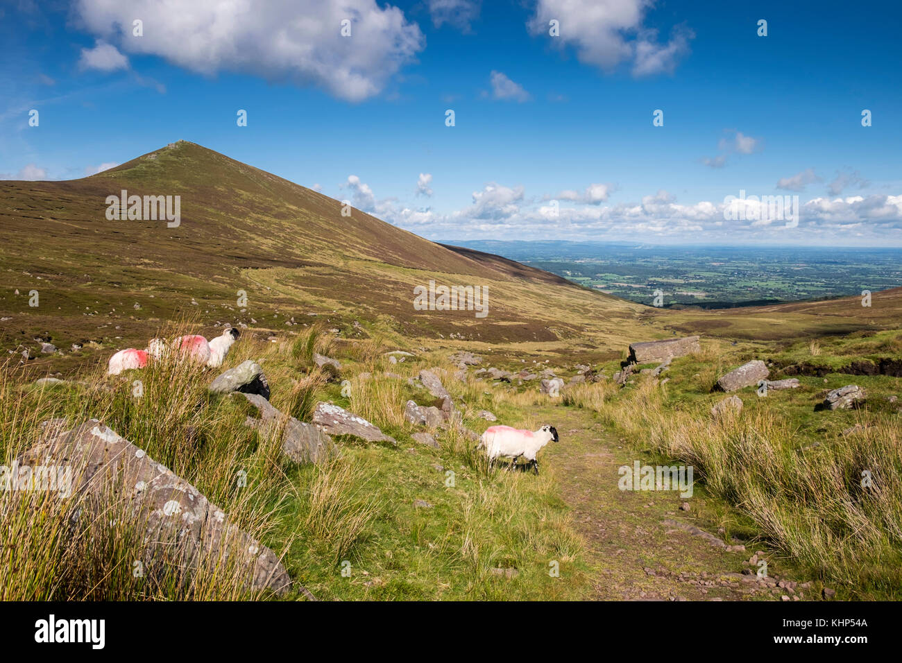 Galtee mountains hi-res stock photography and images - Alamy