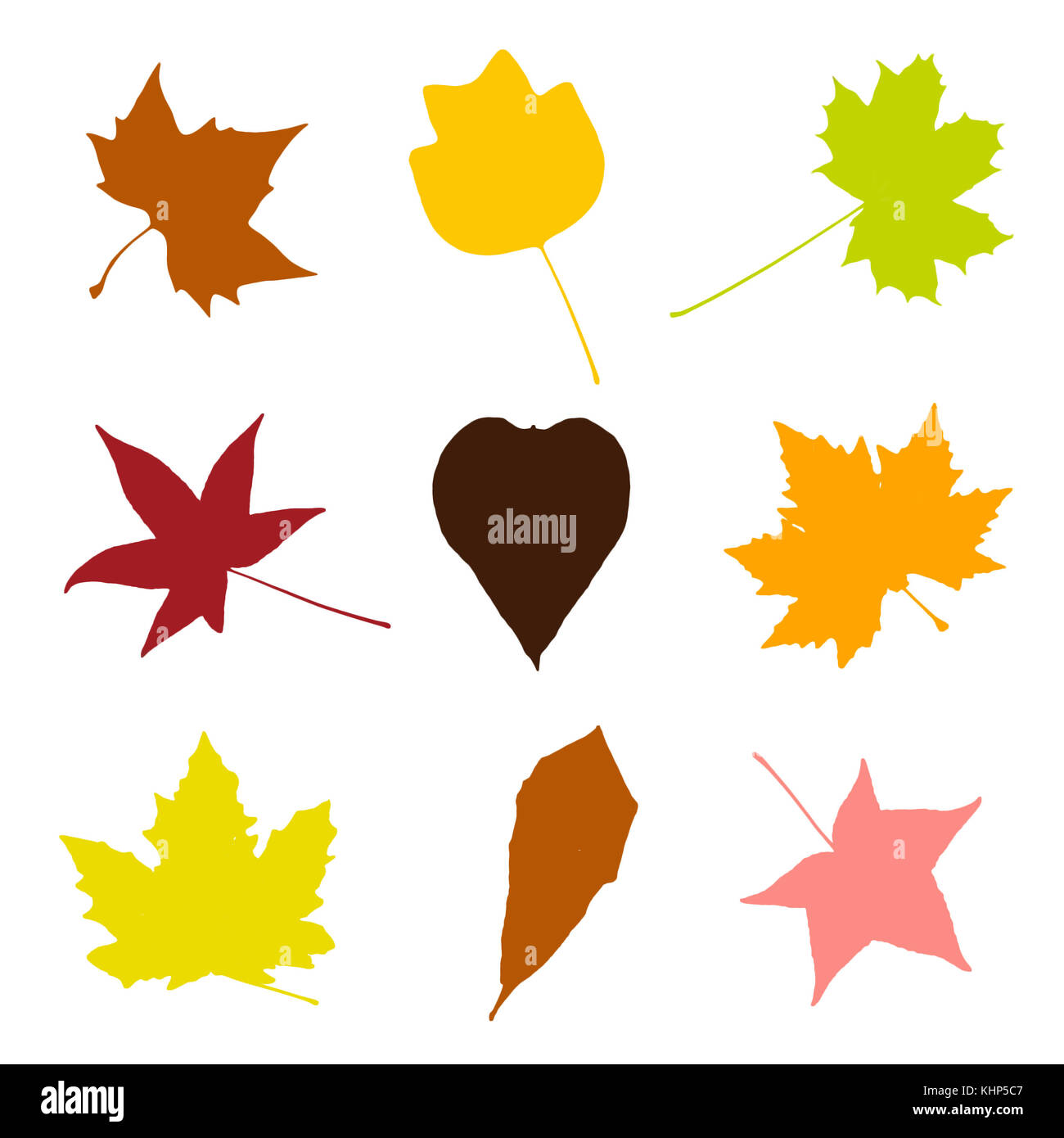 Colorful leaves isolated on white background. Autumn collage. Drawing ...