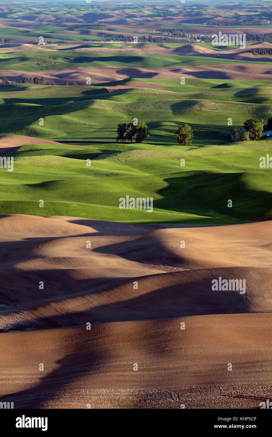 Farmland of the Palouse region of Washington State America Stock Photo ...