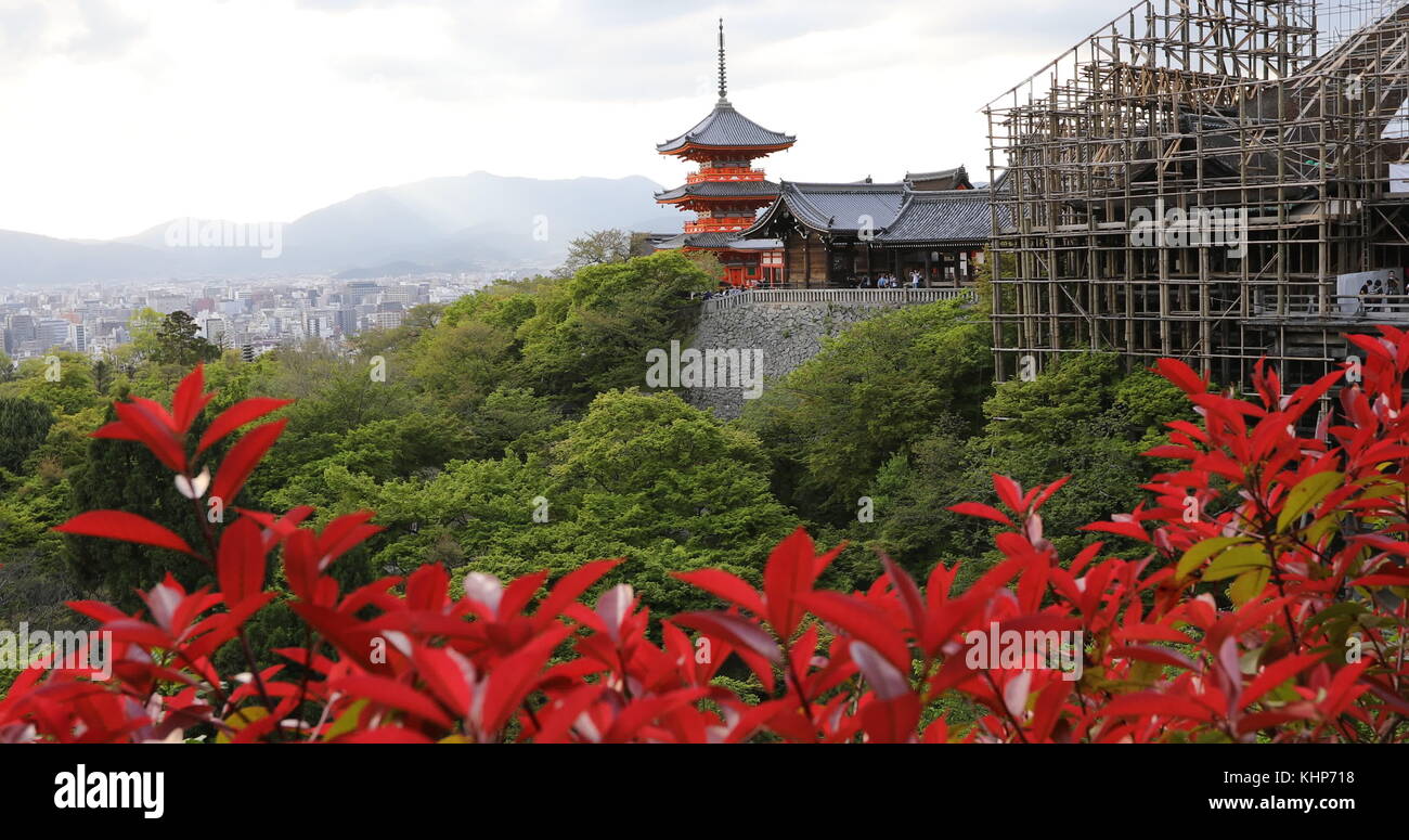 Kiyomizudera Temple aerial view Stock Photo - Alamy