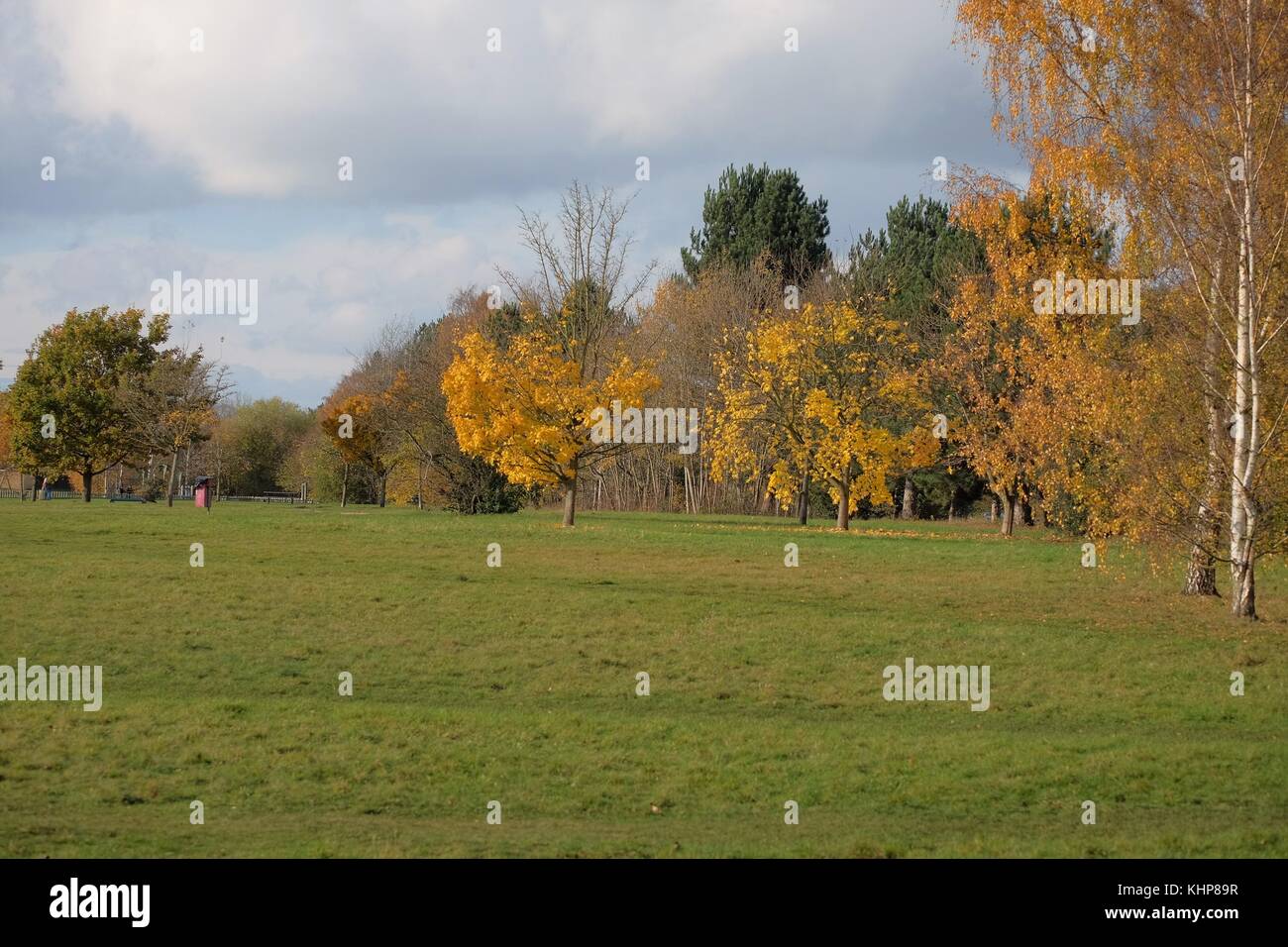 hurst park blue sky Stock Photo - Alamy