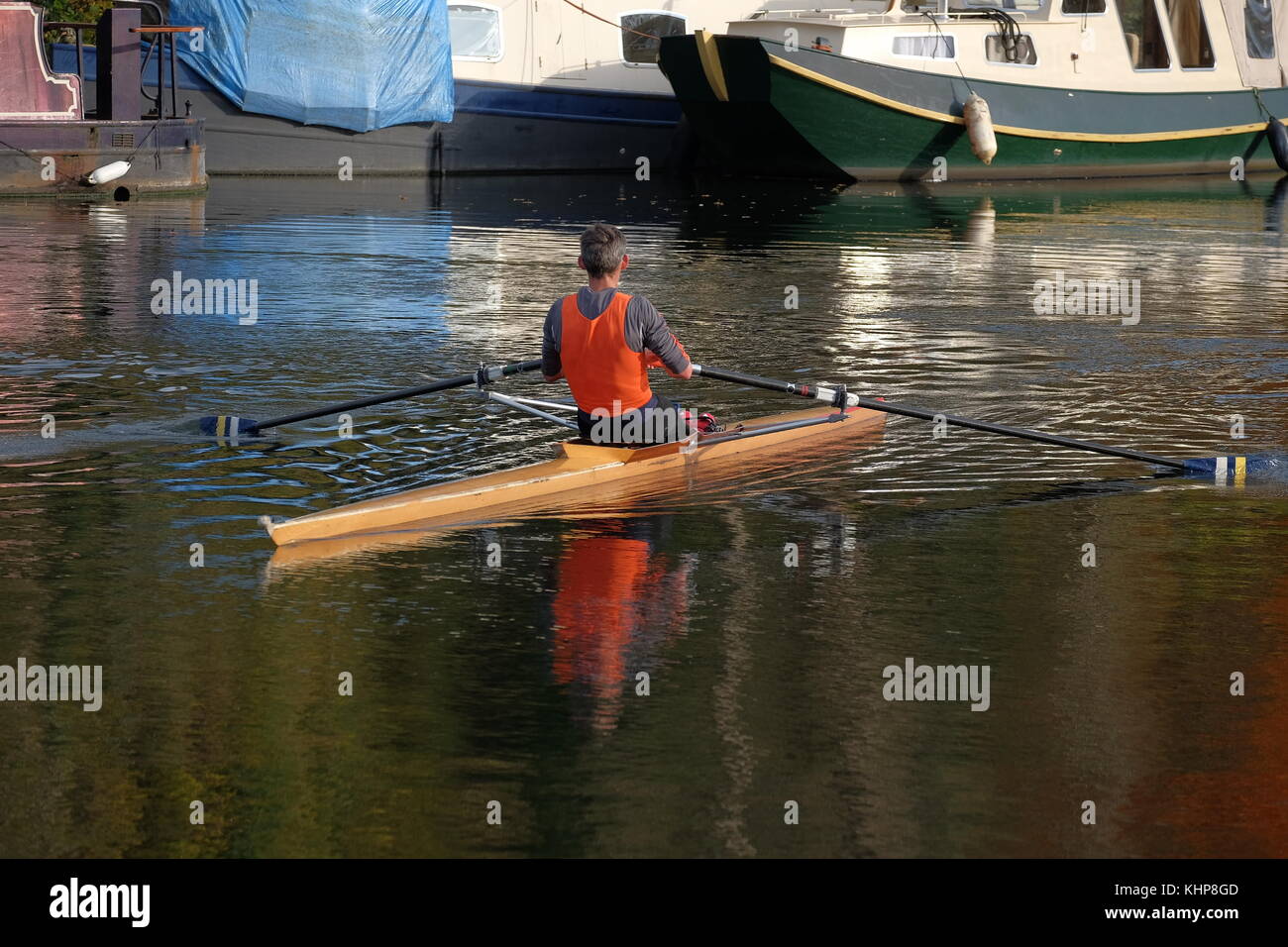 rower on river thames thin boat Stock Photo - Alamy