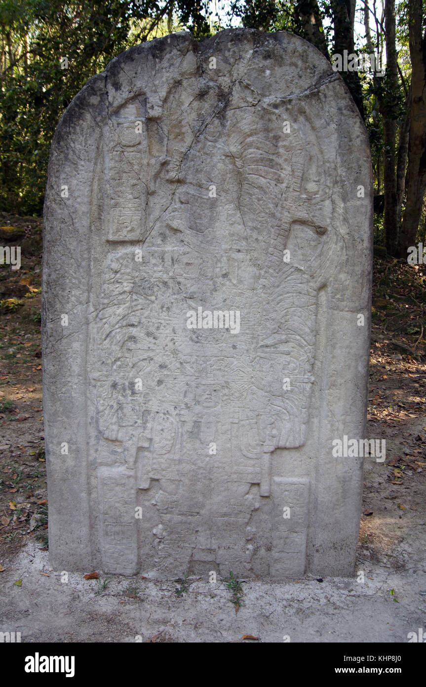 Big old stone in the forest in Tikal, Guatemala Stock Photo - Alamy
