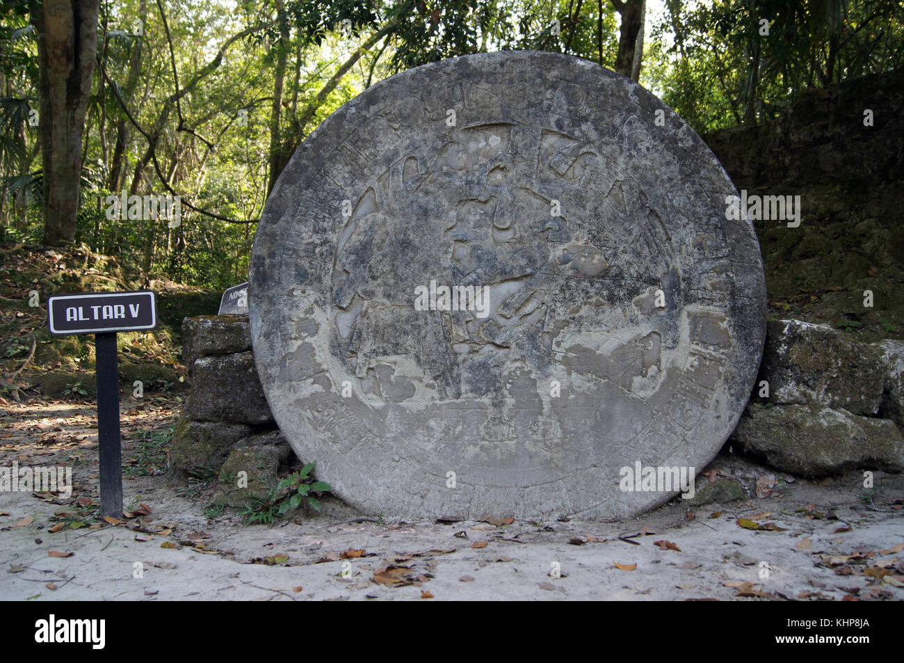 Big circle stone with letters in the forest ion Tikal, Guatemala Stock ...